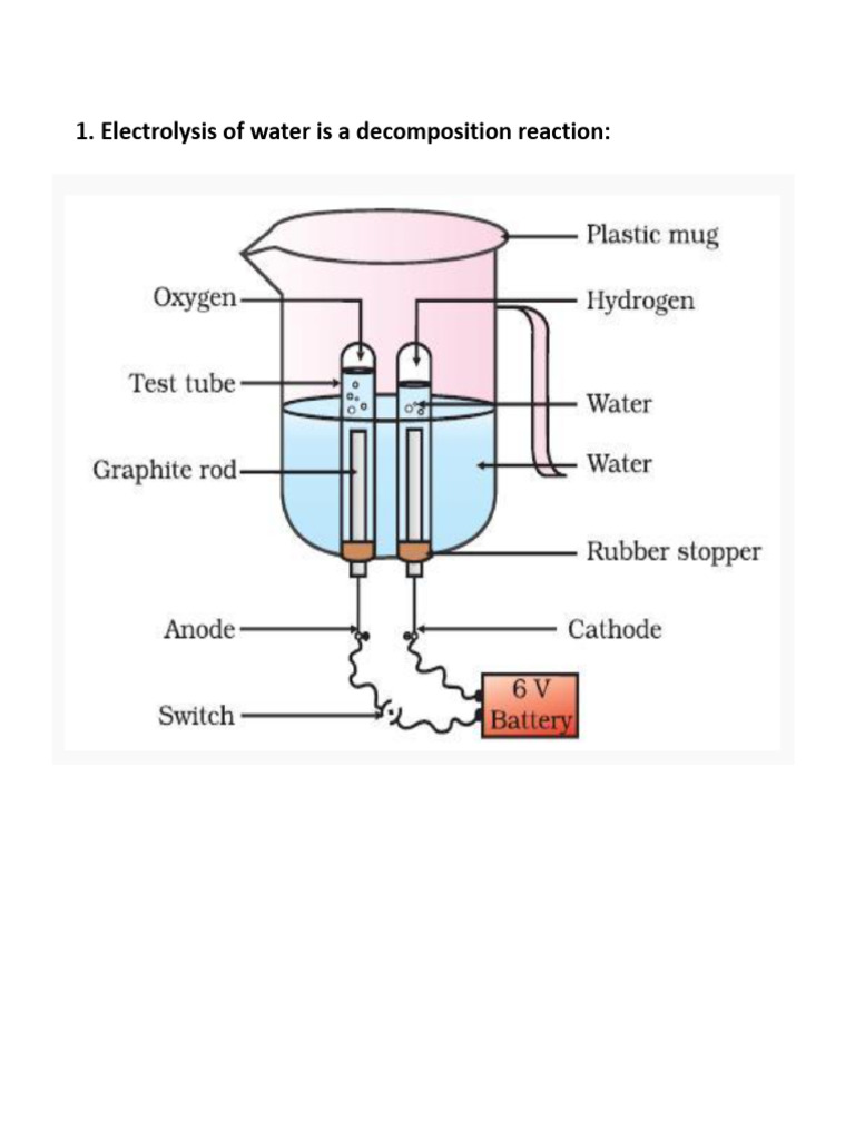 10th Diagrams. Science | PDF
