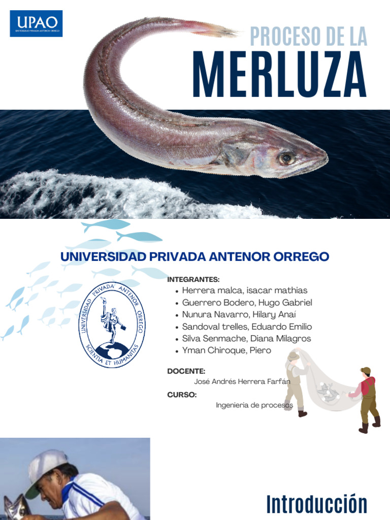 Merluza Peruana: Proceso y Sostenibilidad | PDF | Análisis de Riesgo y ...