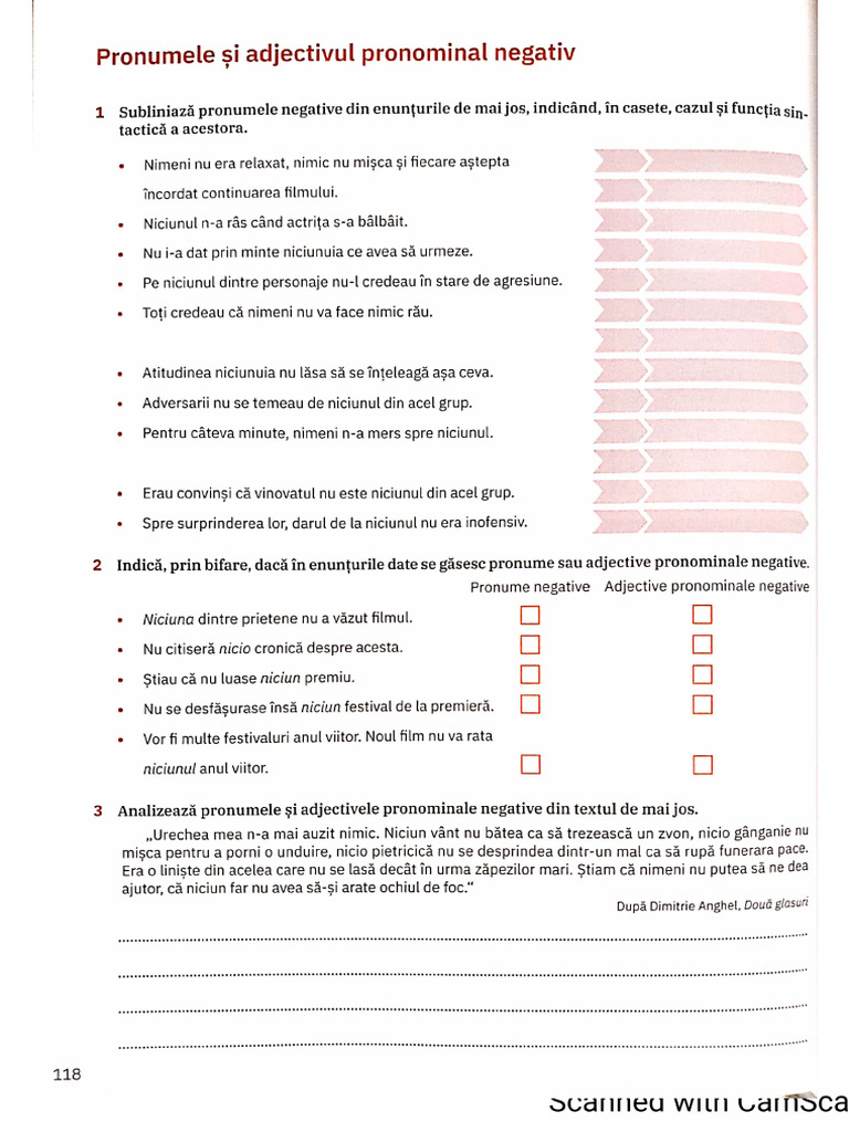 Pronumele Si Adj. Pron. Negativ Caietul Elevului aVIIa | PDF