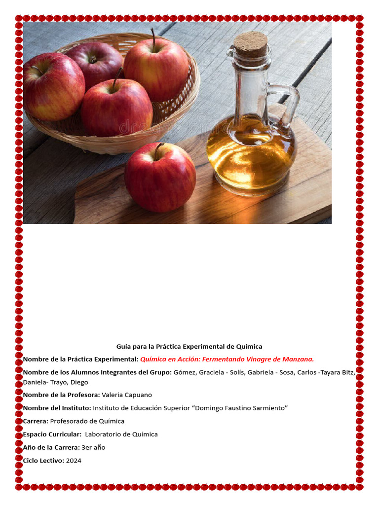 Fermentación Acética - TFI - LQ24 | PDF | Fermentación | Vinagre
