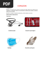 Práctica 370. Disección de Corazón. Anatomia | PDF | Laboratorios ...