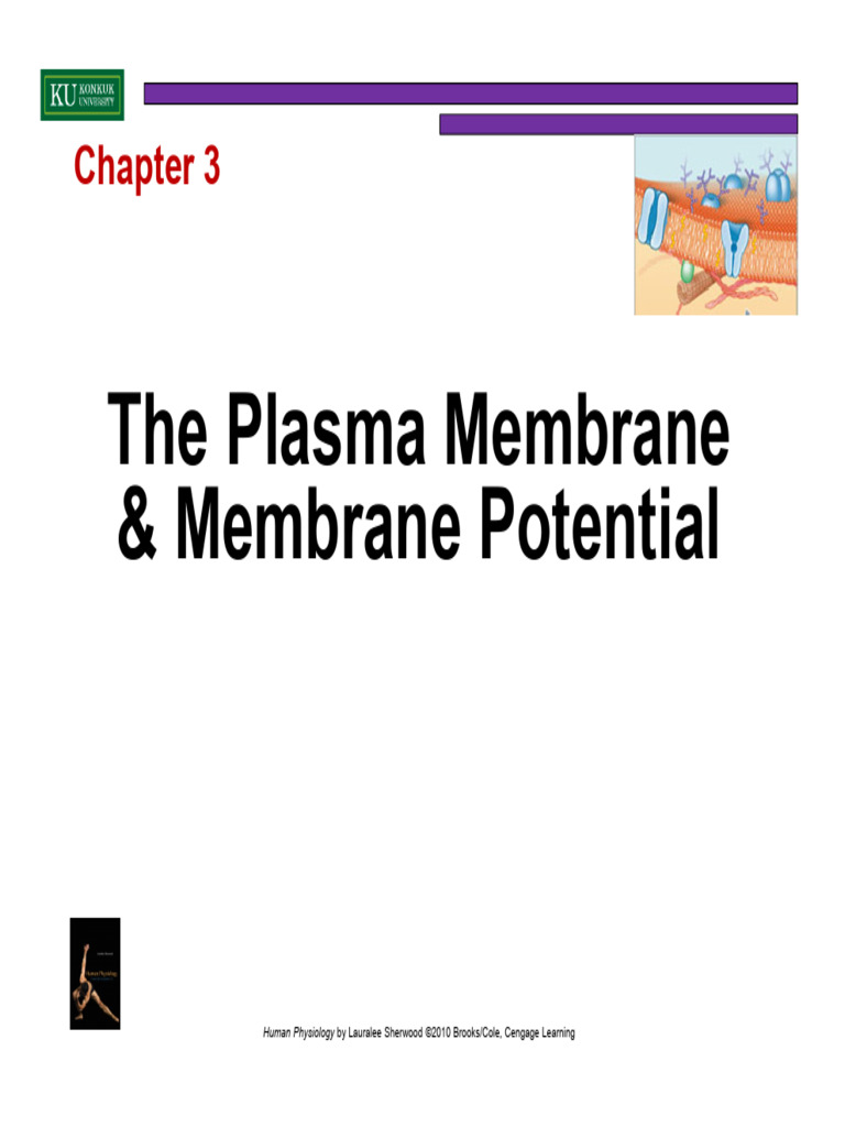 Chapter 3. The Plasma Membrane and Membrane Potential | PDF | Cell Membrane | Membrane Potential