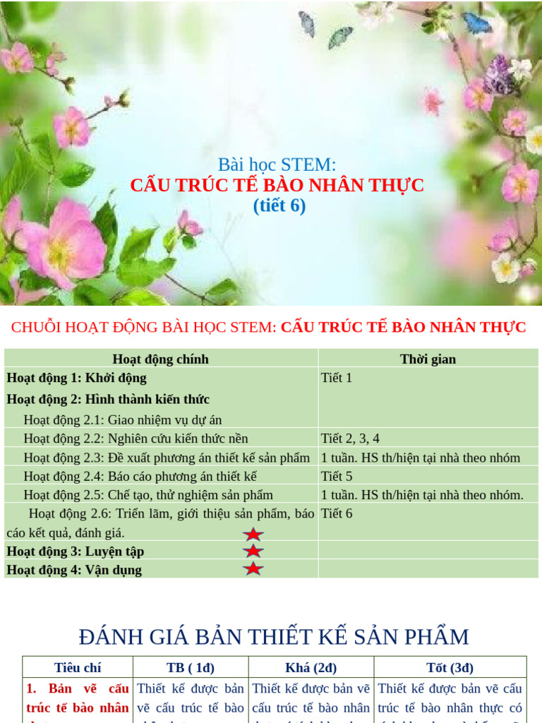 Tiet 24 - Bai Hoc STEM - Cau Truc Te Bao Nhan Thuc - Tiet 6 Cc309 | PDF