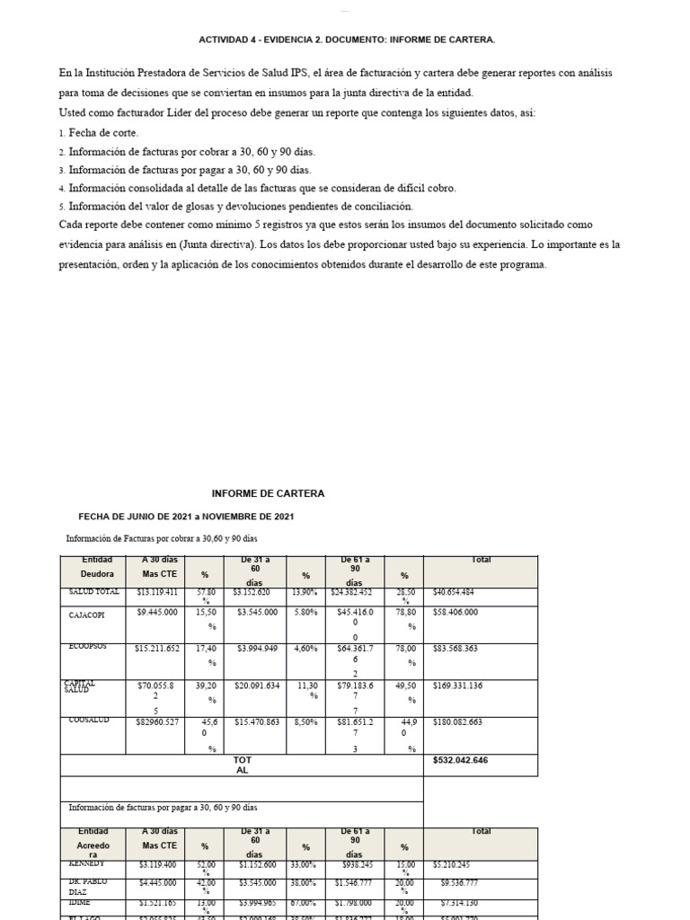 Actividad 4 Evidencia 2 Informe de Cartera | PDF | Servicios públicos | América del Sur