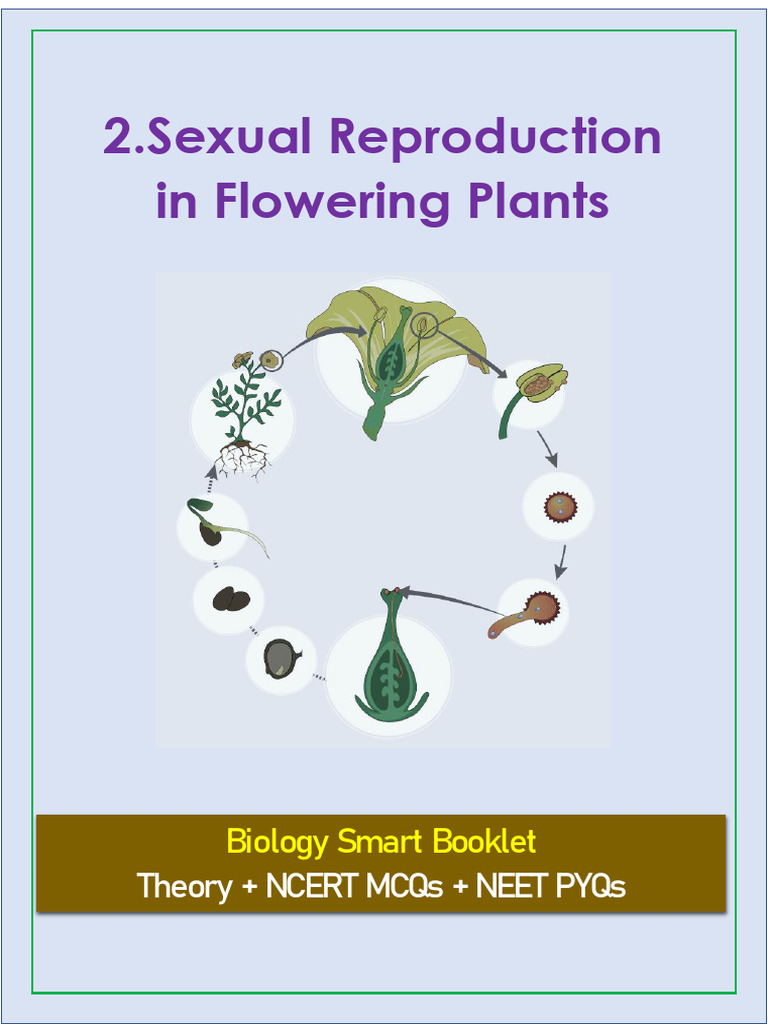 Sexual Reproduction in Flowering Plants | PDF | Seed | Flowers