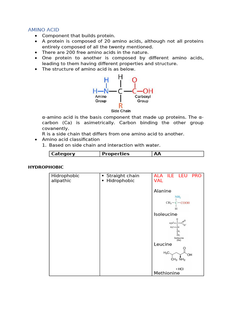 Amino Acid | PDF | Amino Acid | Beta Sheet