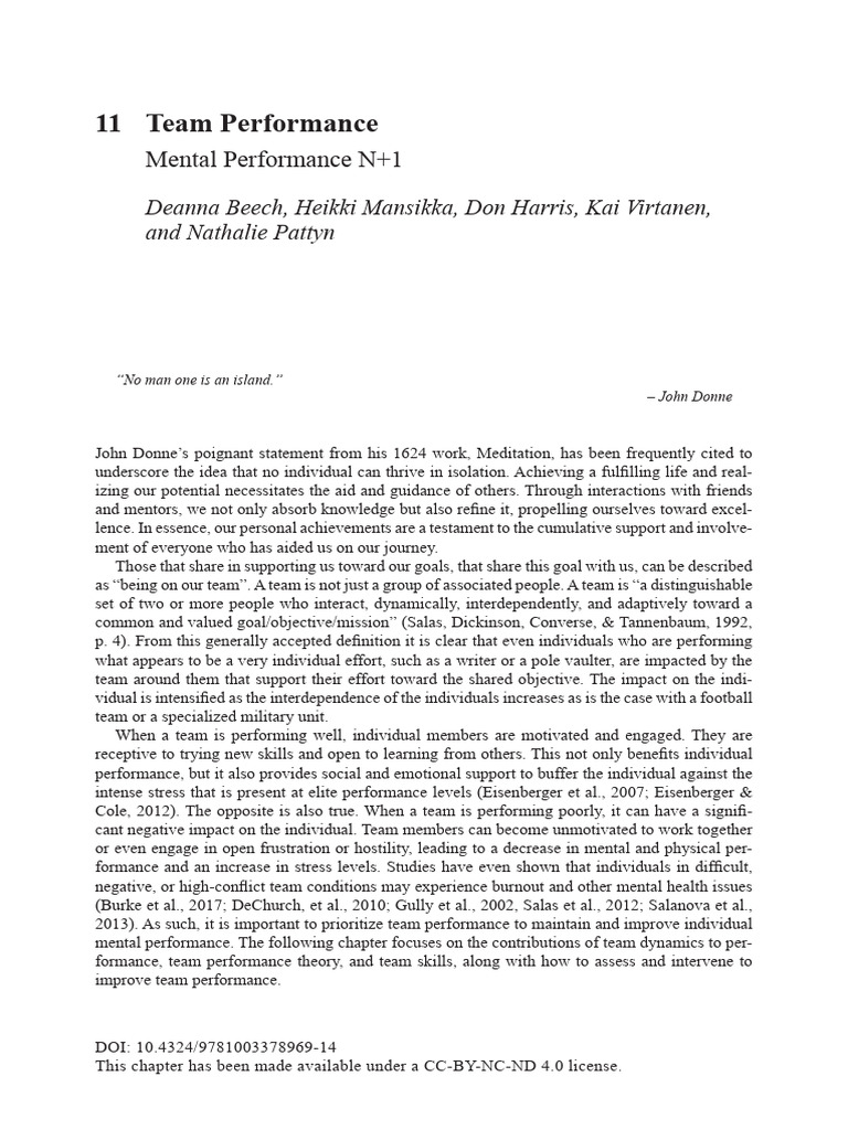 Team Performance | PDF | Flow (Psychology) | Leadership