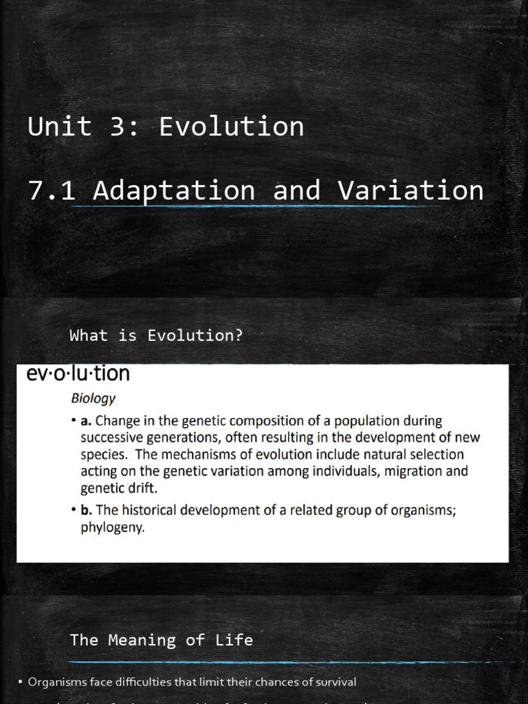 Understanding Evolution: Adaptation & Variation | PDF | Genetic ...