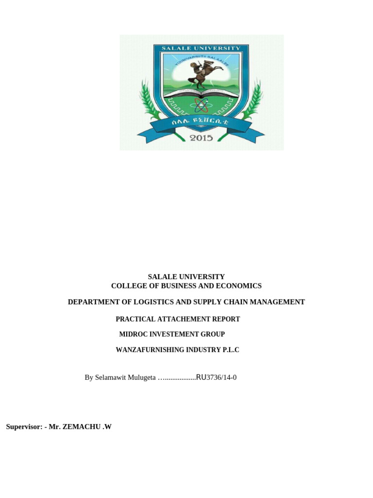 Selam Inter Report Edited | PDF | Procurement | Communication