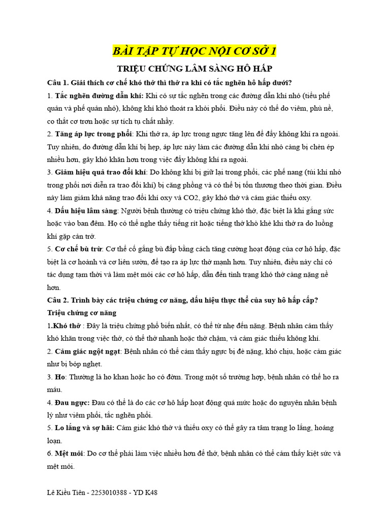 Le Kieu Tien 2253010388 Yd48 ncs1 20240802124340 e | PDF