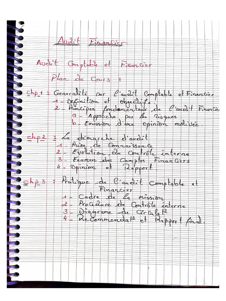 Ouvrir Audit Pdf Pdf