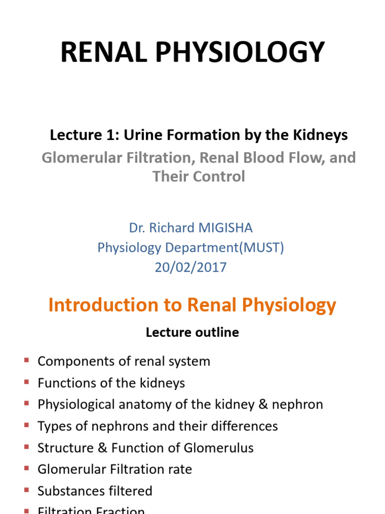 Lecture 1 Renal Physiology | PDF | Kidney | Urinary System