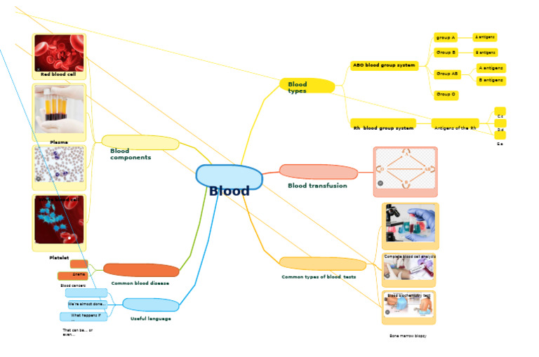Energy 2 | PDF | Blood Type | Clinical Pathology