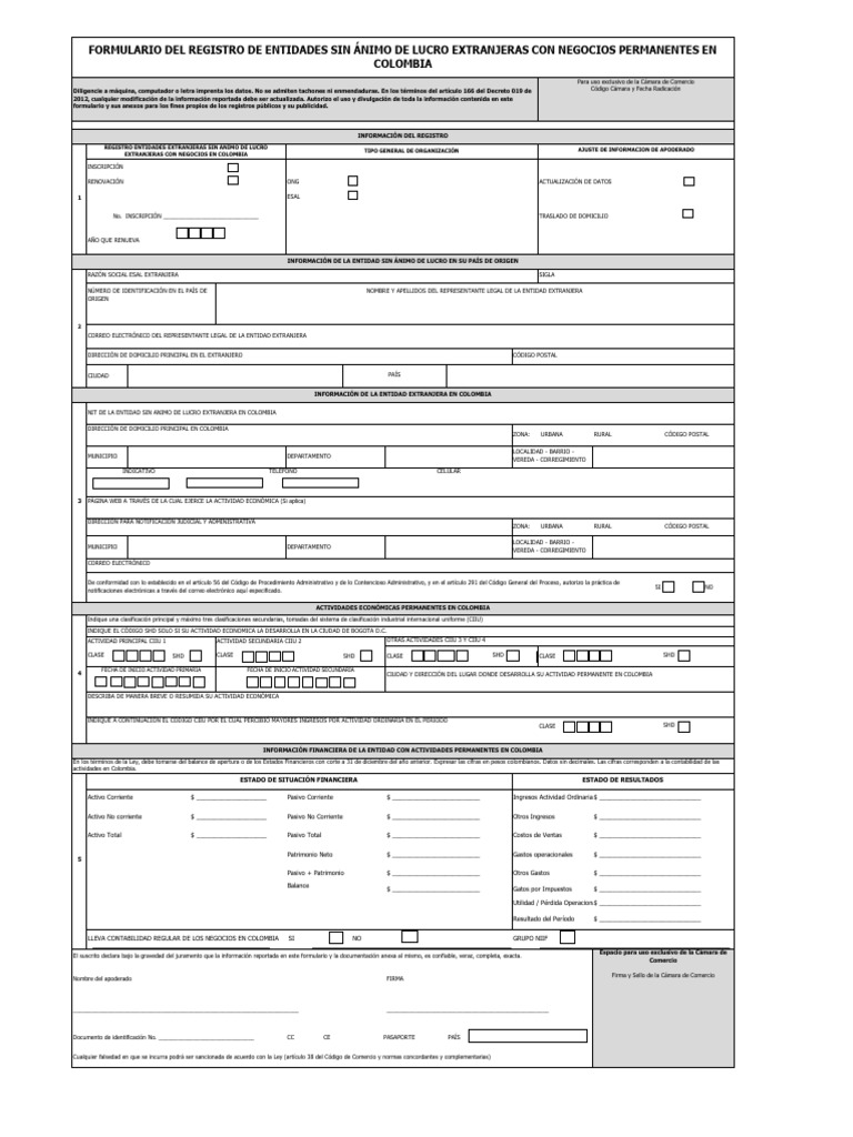 Anexo 1 Esquema Del Formulario | PDF | Contabilidad | Hoja de balance