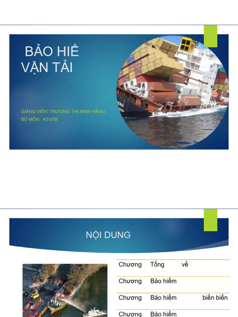 Chương 1. T NG Quan BHVT-đã G P (2) - Compressed | PDF