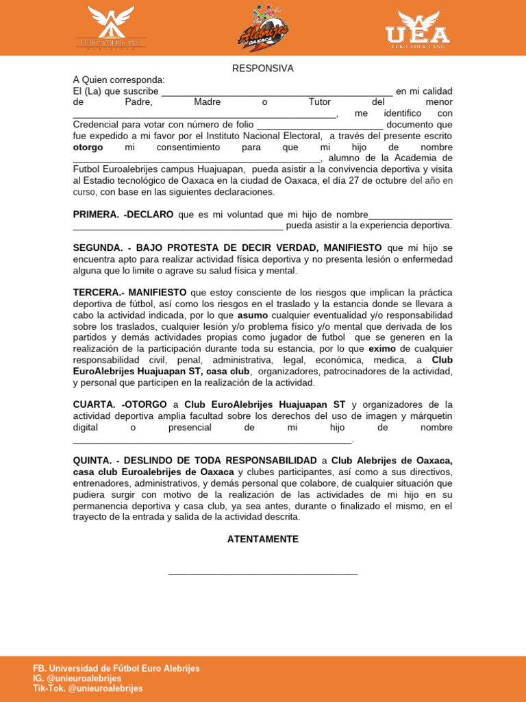 RESPONSIVA EXPERIENCIA Oax | PDF