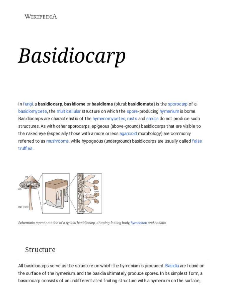 Basidiocarp - Wikipedia | PDF | Fungus | Mushroom Types