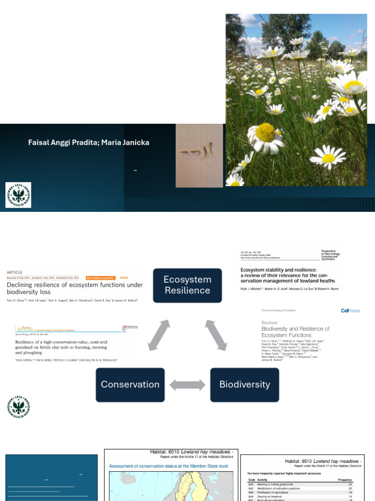 Fix Ppt Sccs Hungary | PDF | Seed | Germination