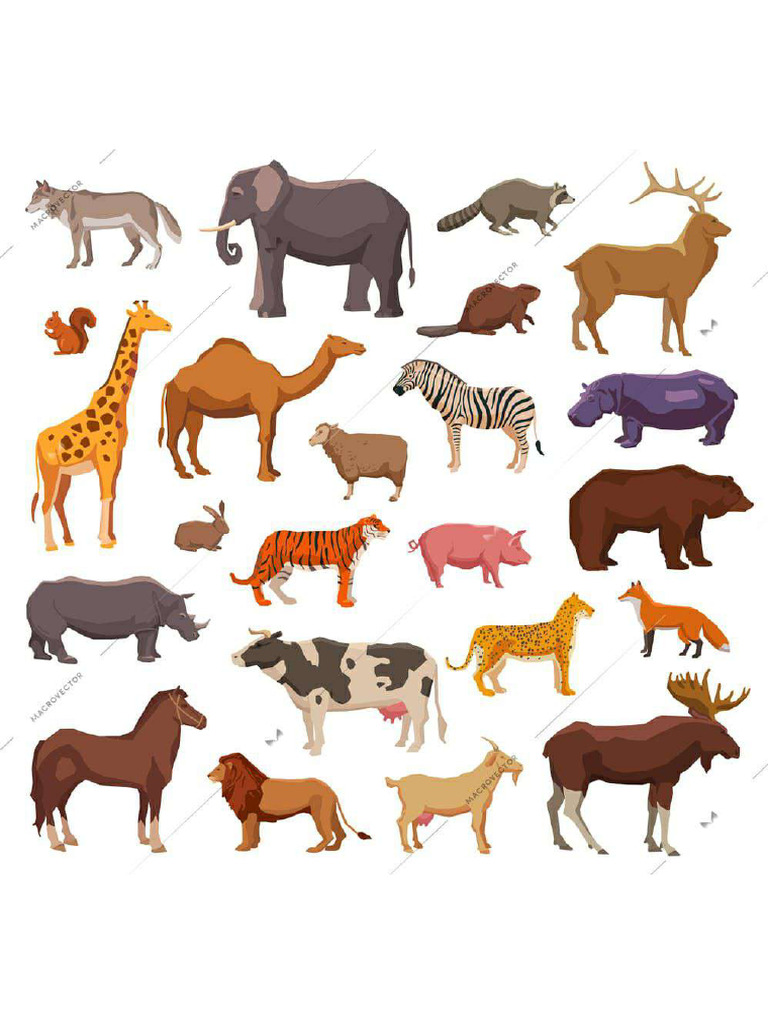 All Animals | PDF