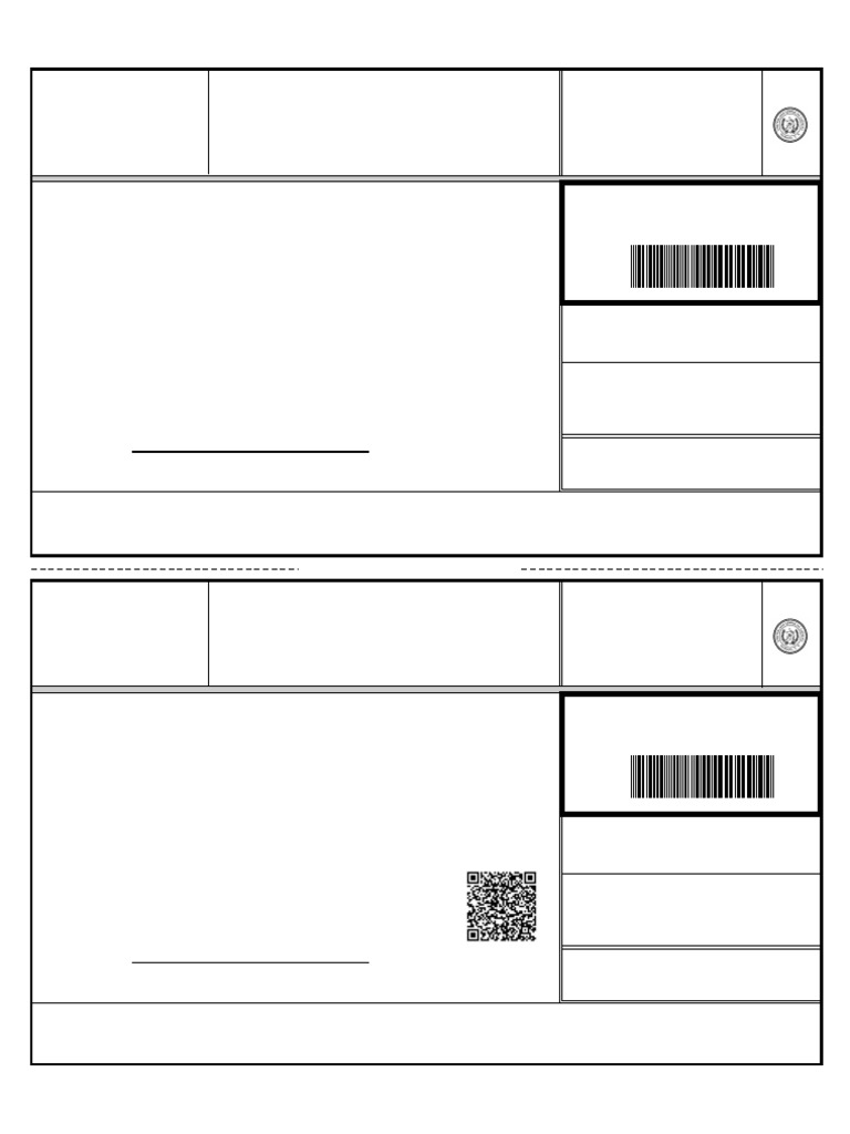 NIT-311743390-PER-2024-11-COD-8421-NRO-44899856417-BOLETA | PDF ...