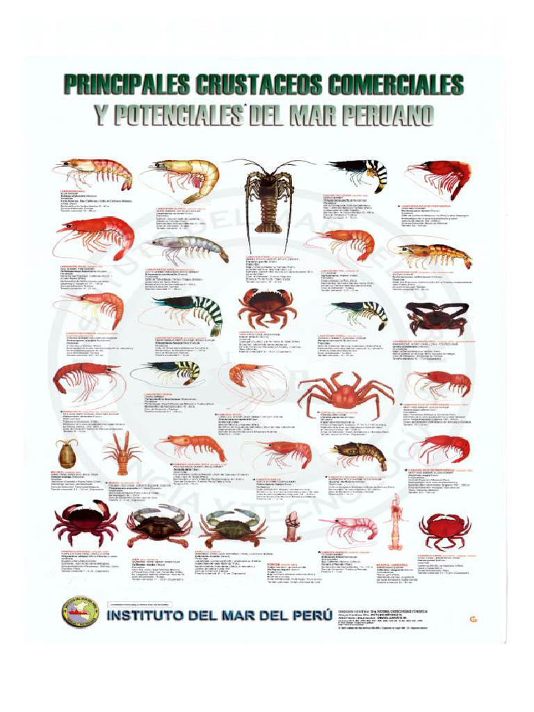 Crustaceos Del Peru 2 | PDF