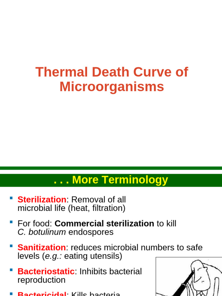 Thermal Death Curve | PDF | Sterilization (Microbiology) | Antimicrobial