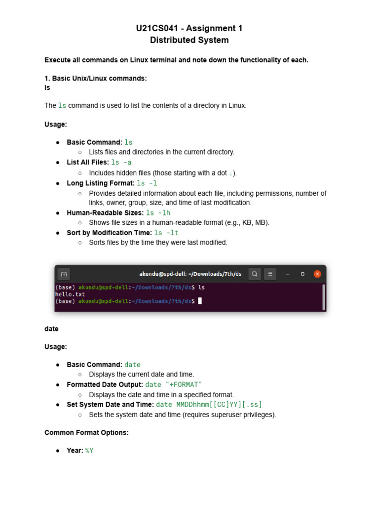 DS 1 - Google Docs | PDF | Computer File | File System