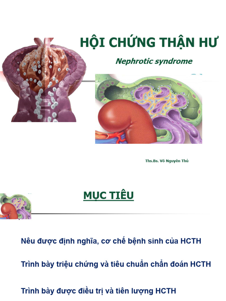 B7. Benh Hoc Tiet Nieu | PDF