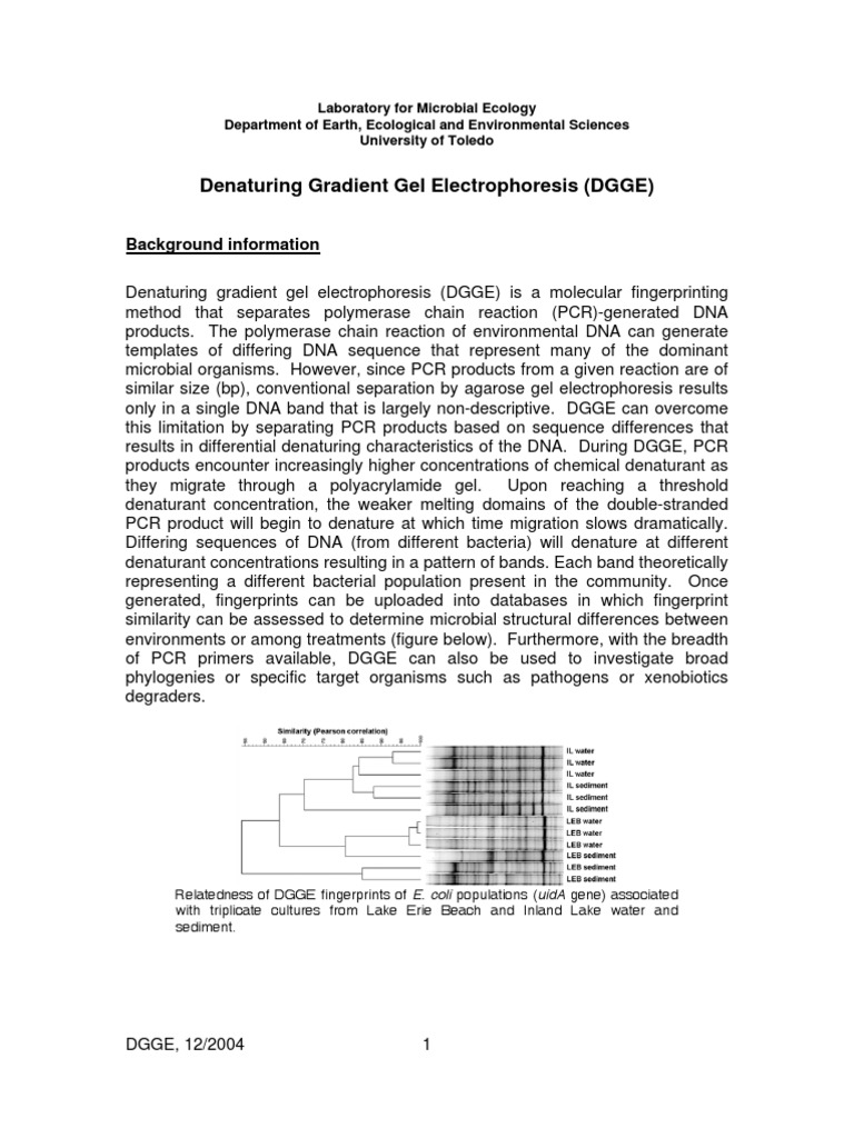 DGGE | PDF | Gel Electrophoresis | Polymerase Chain Reaction