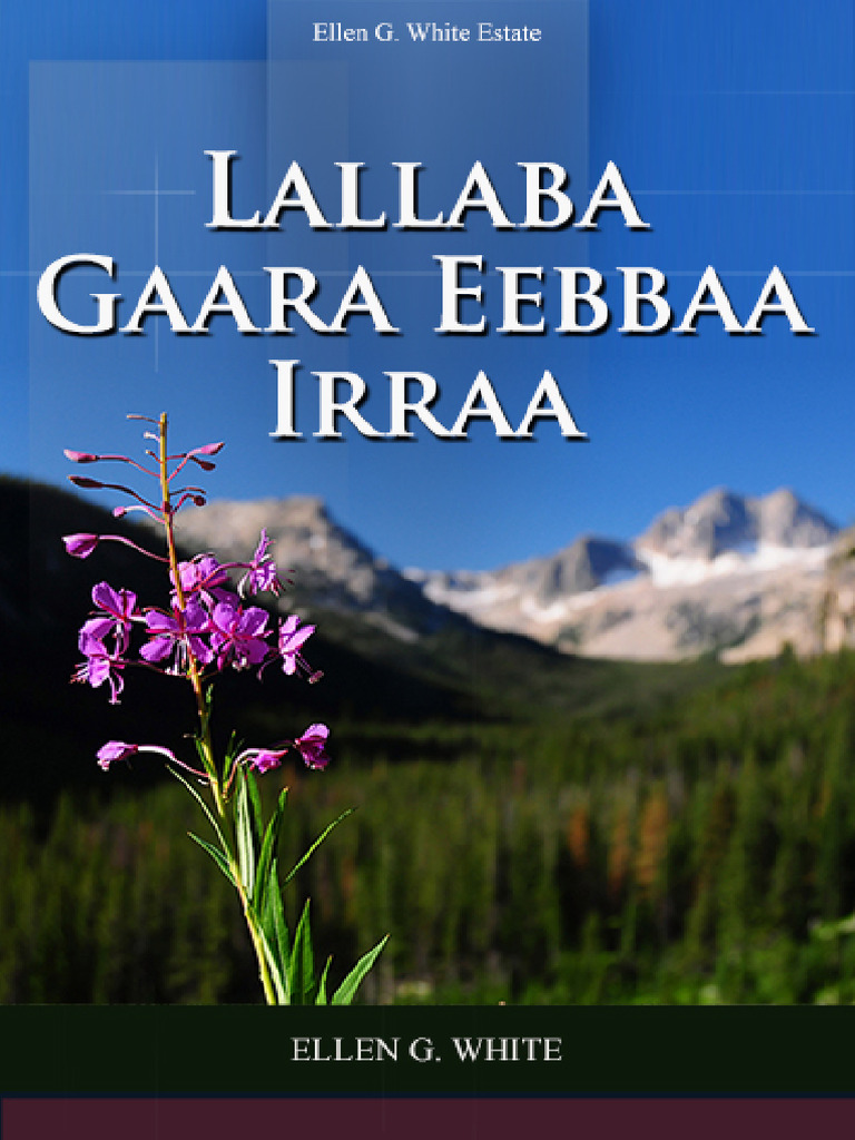 Lallaba Gaara Eebba | PDF | Business Law | Religious Belief And Doctrine