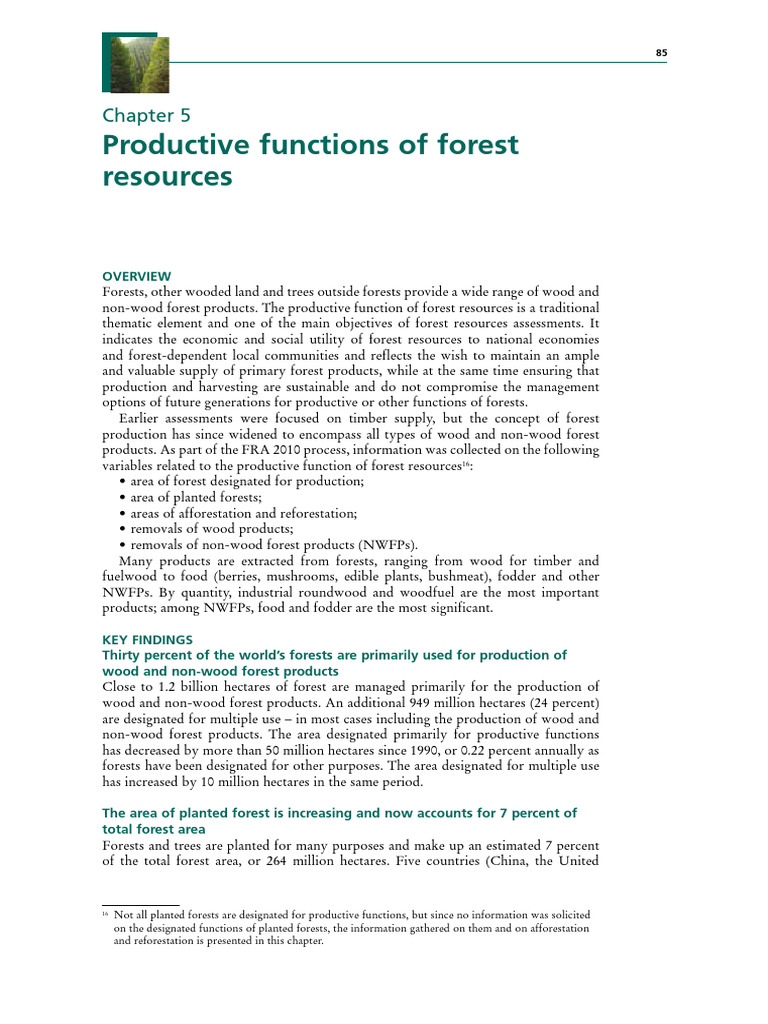 Productive Functions of Forest Resources | PDF | Forests | Ecology