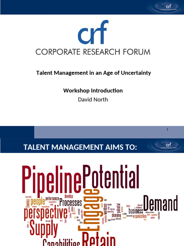 David North Intro Workshop FINAL | PDF | Talent Management | Strategic ...