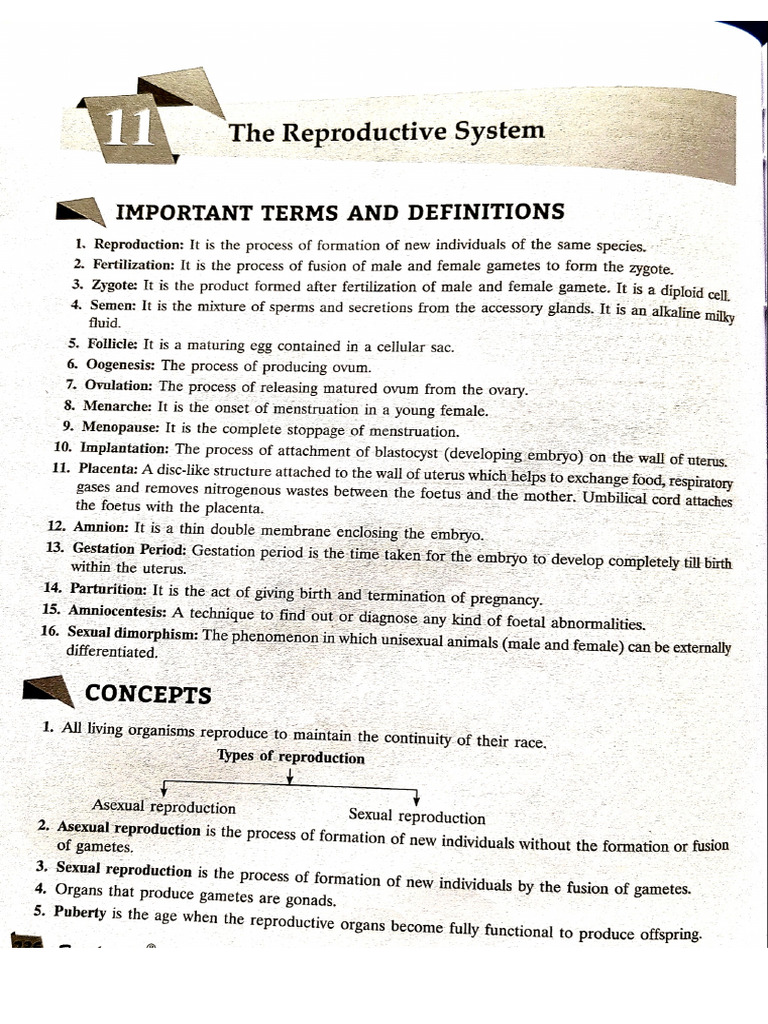 Bio Reproductive System | PDF