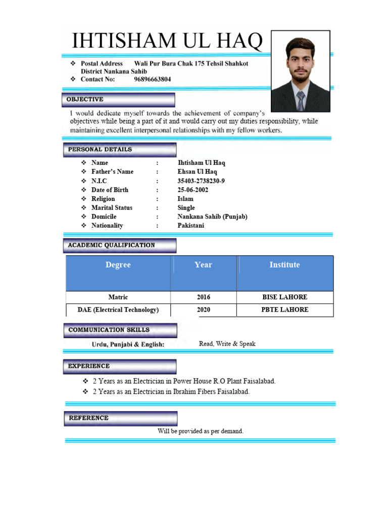 CV For DAE Person | PDF
