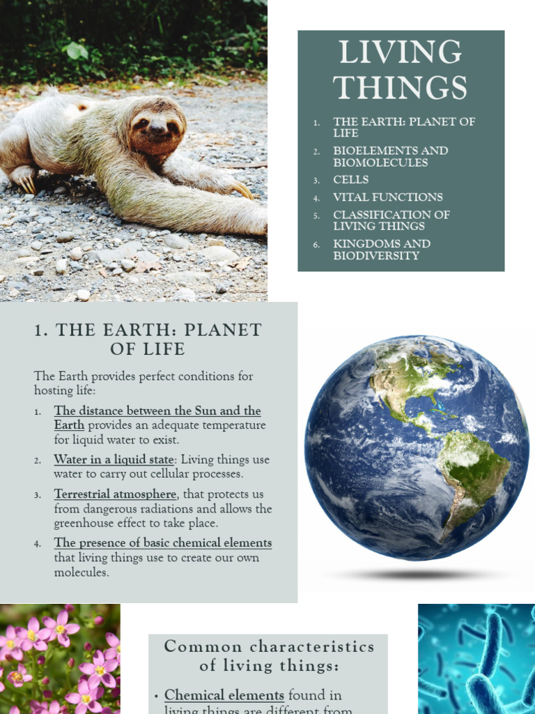Living Things | PDF | Cell (Biology) | Life