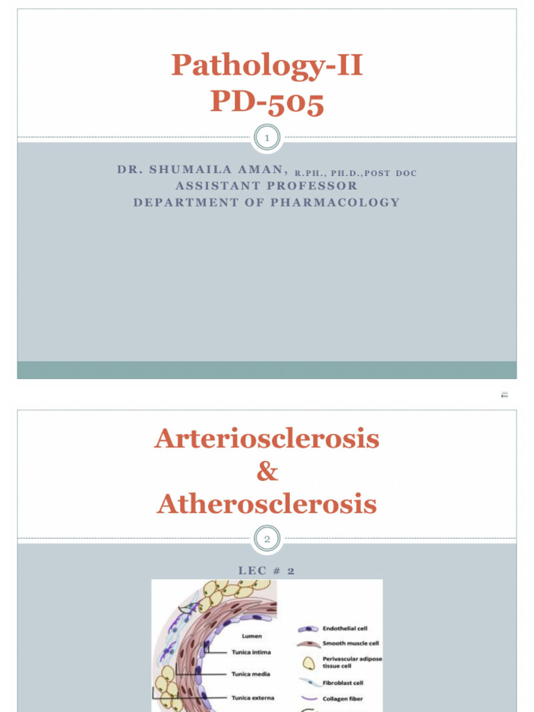 2 Arteriosclerosis | PDF