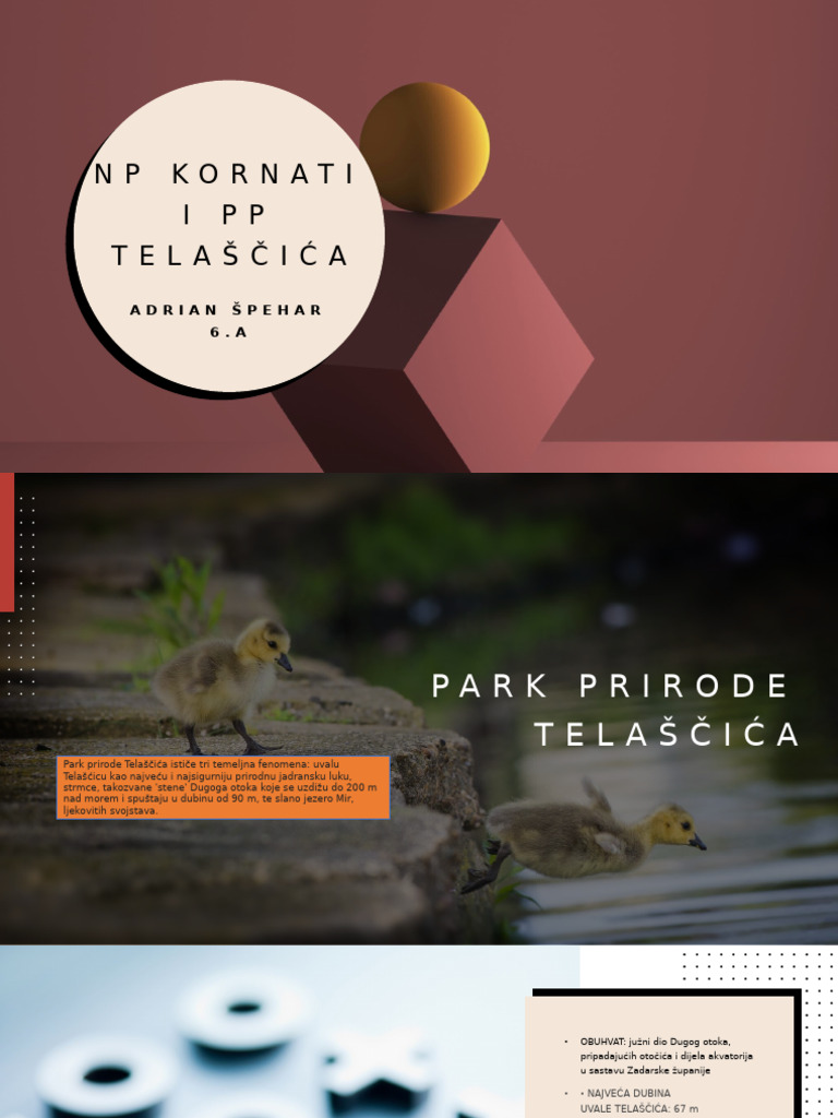 Presentation 3 | PDF