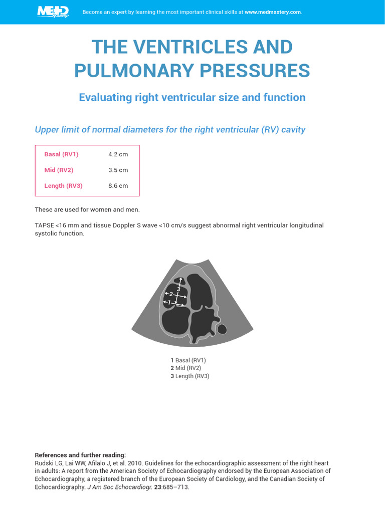 Evaluating Right Ventricular Size and Function - ATF | PDF