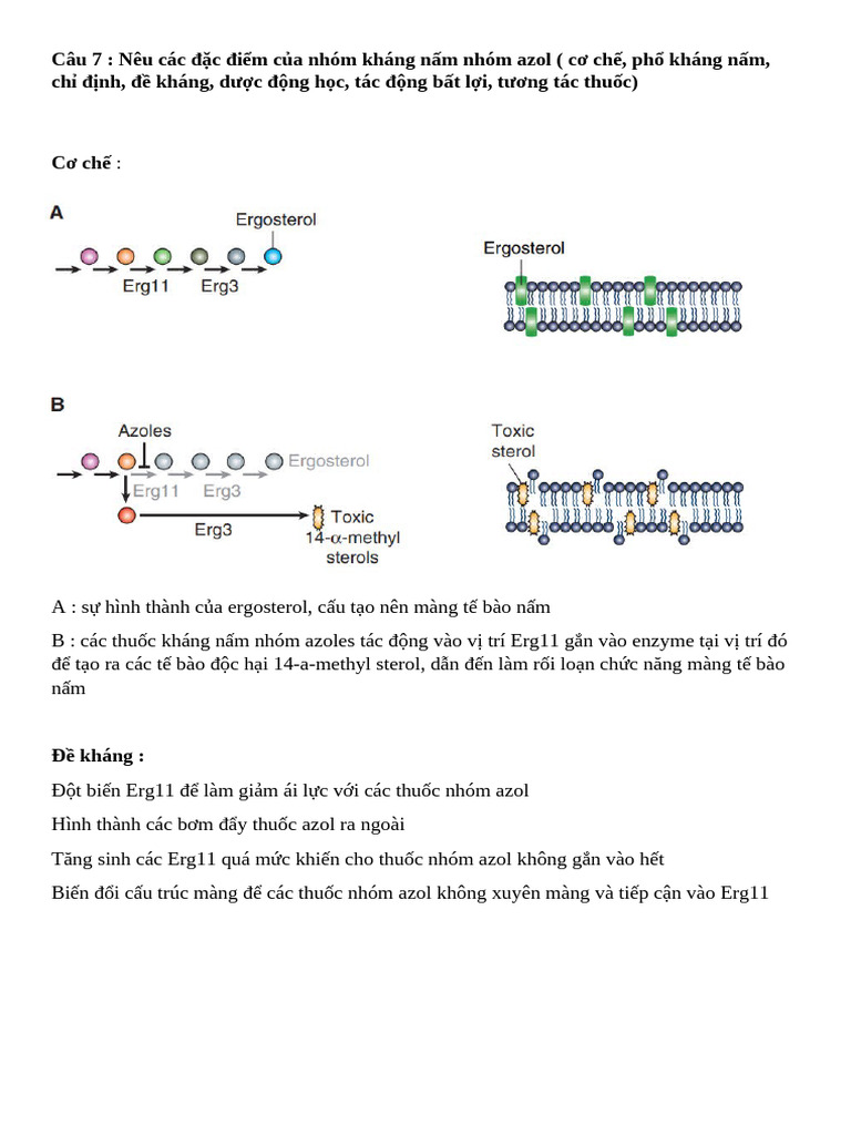 thuốc azol | PDF