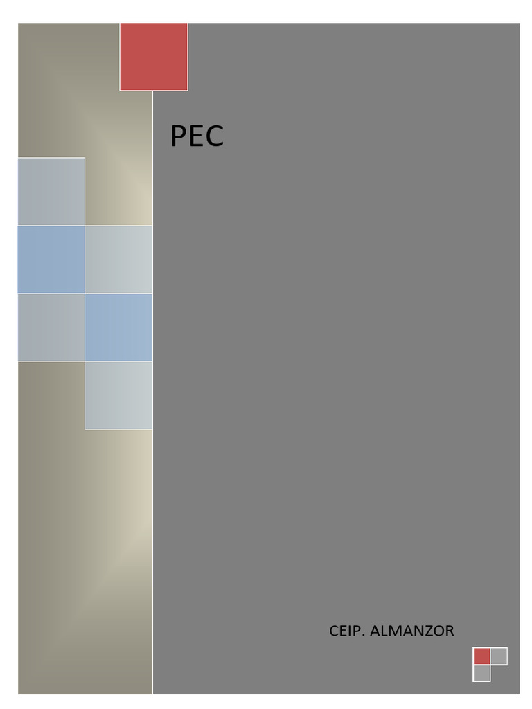Pec 2020-21 | PDF | Educación primaria | Aprendizaje