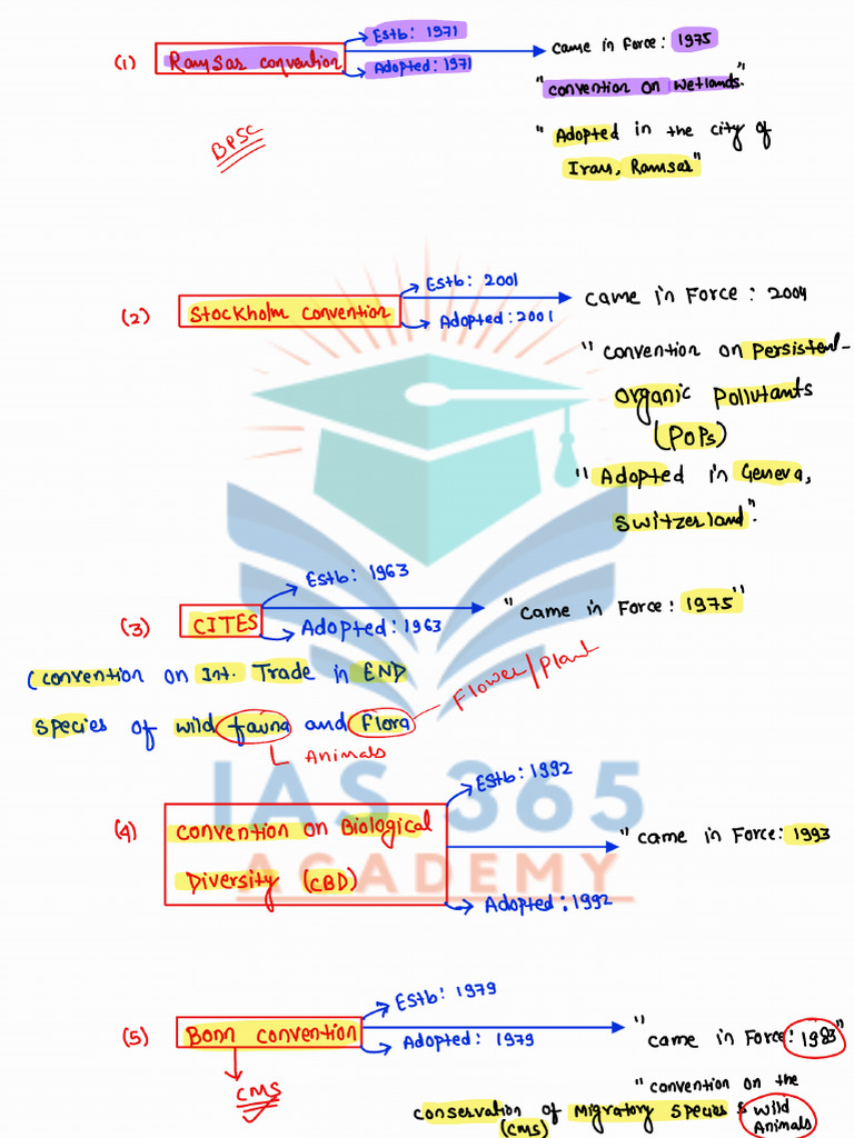 Environment Convention & Protocols - 241113 - 205207 | PDF