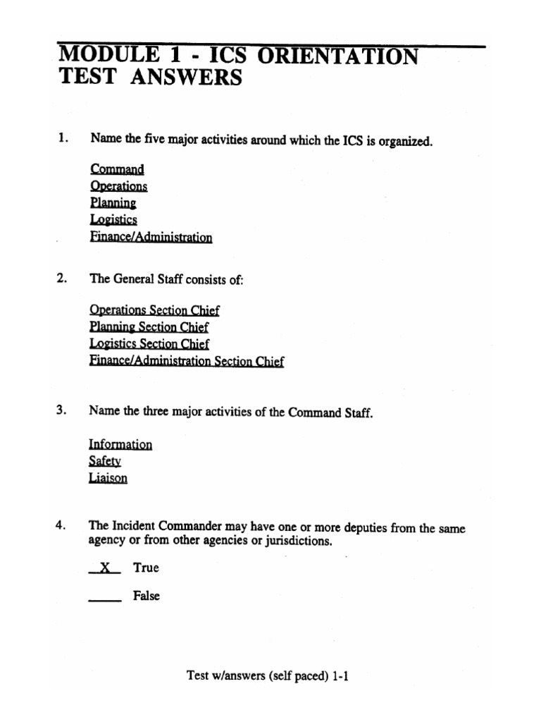 ICS I100answers | PDF