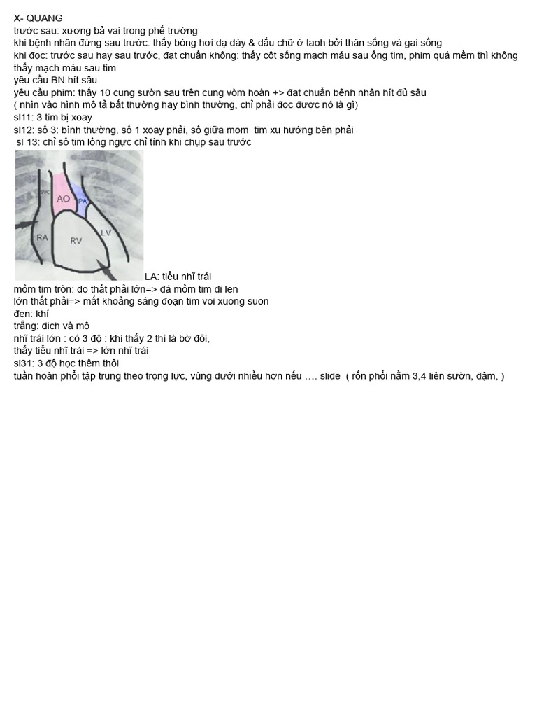 X - Quang | PDF