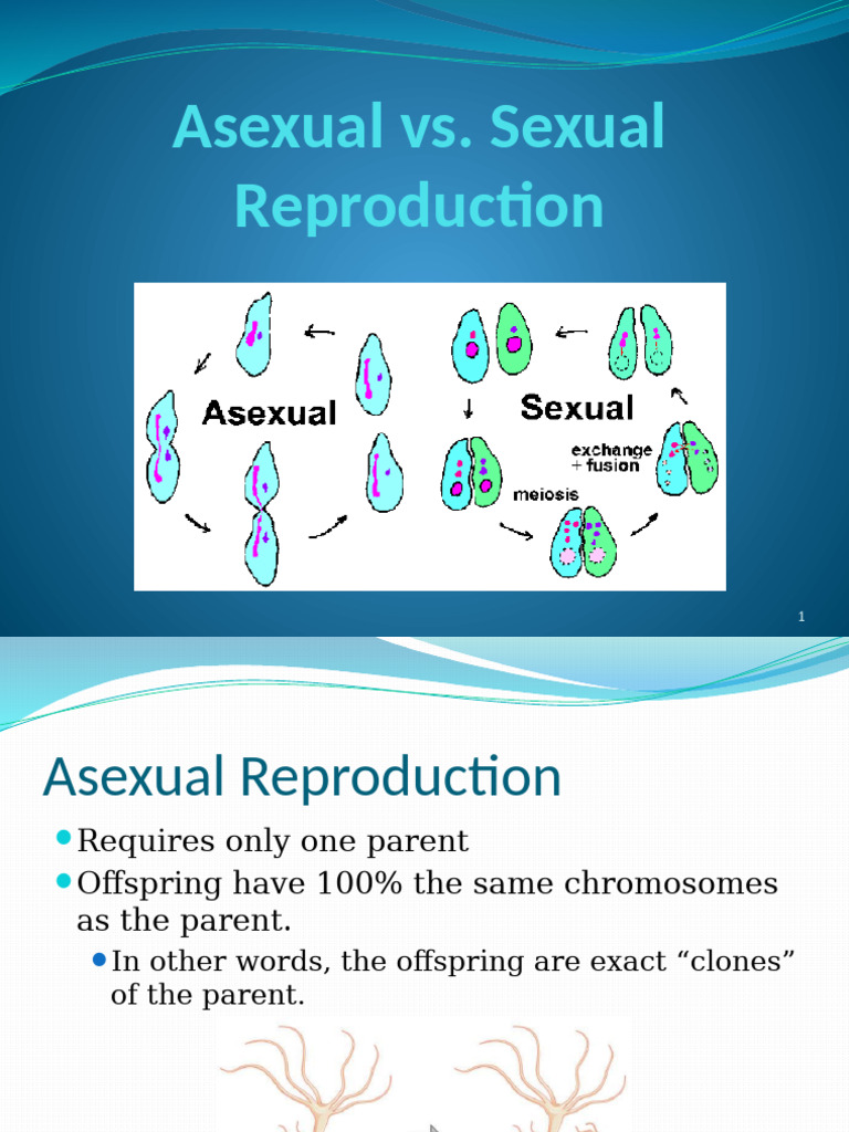 Reproduction | PDF | Sexual Reproduction | Reproduction