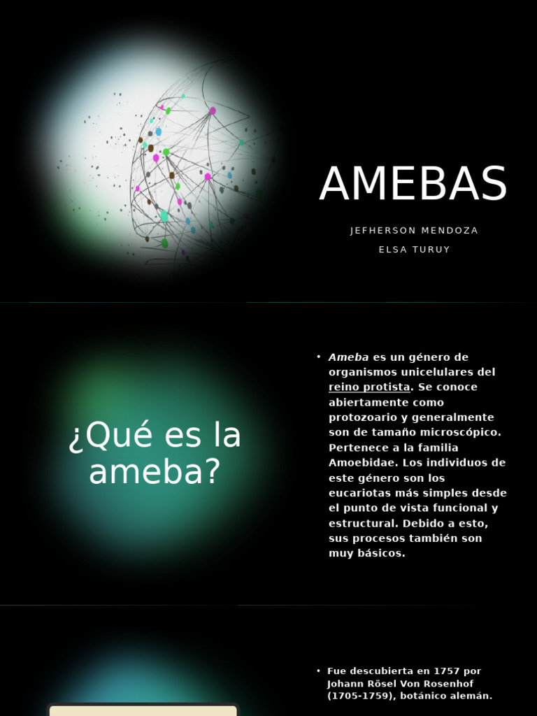 Características y tipos de amebas | PDF | Biología Celular) | Citoplasma