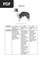 Rol11 2023 Styczen Egzamin Zawodowy Praktyczny | PDF
