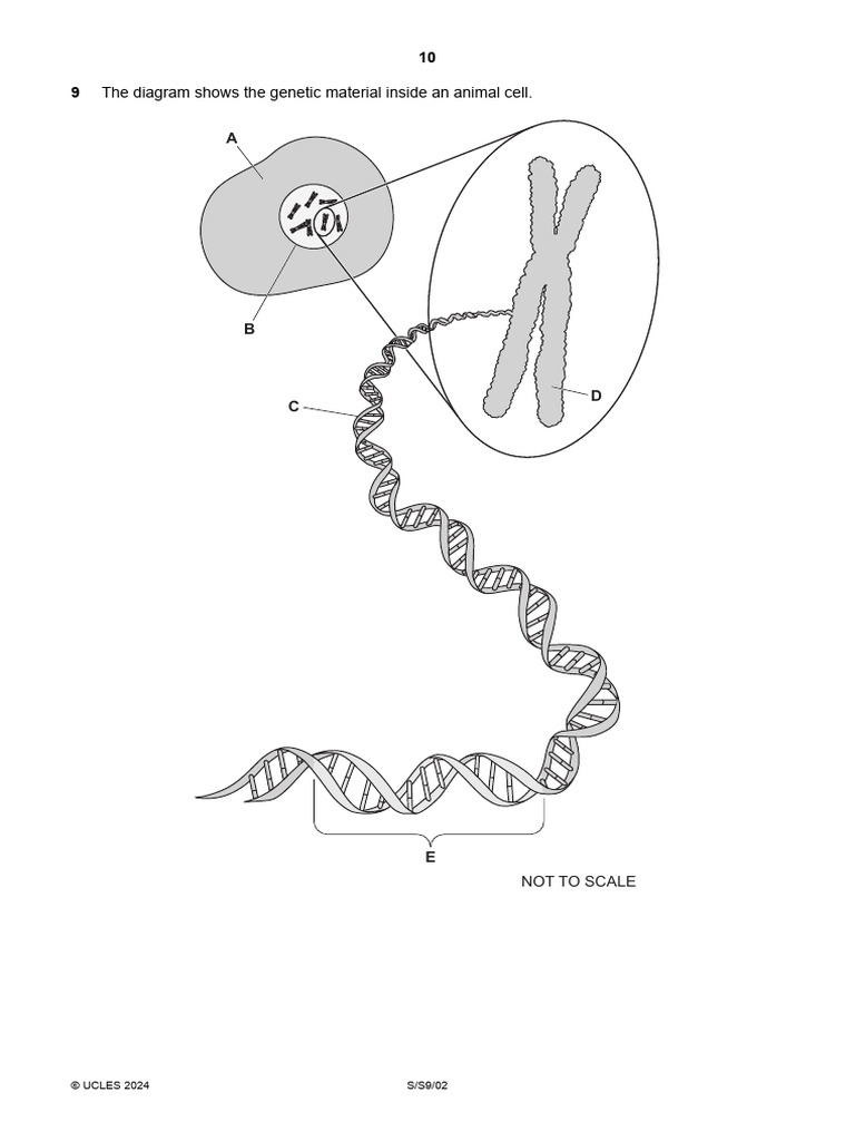 Dna Pdf Sex Biological Processes