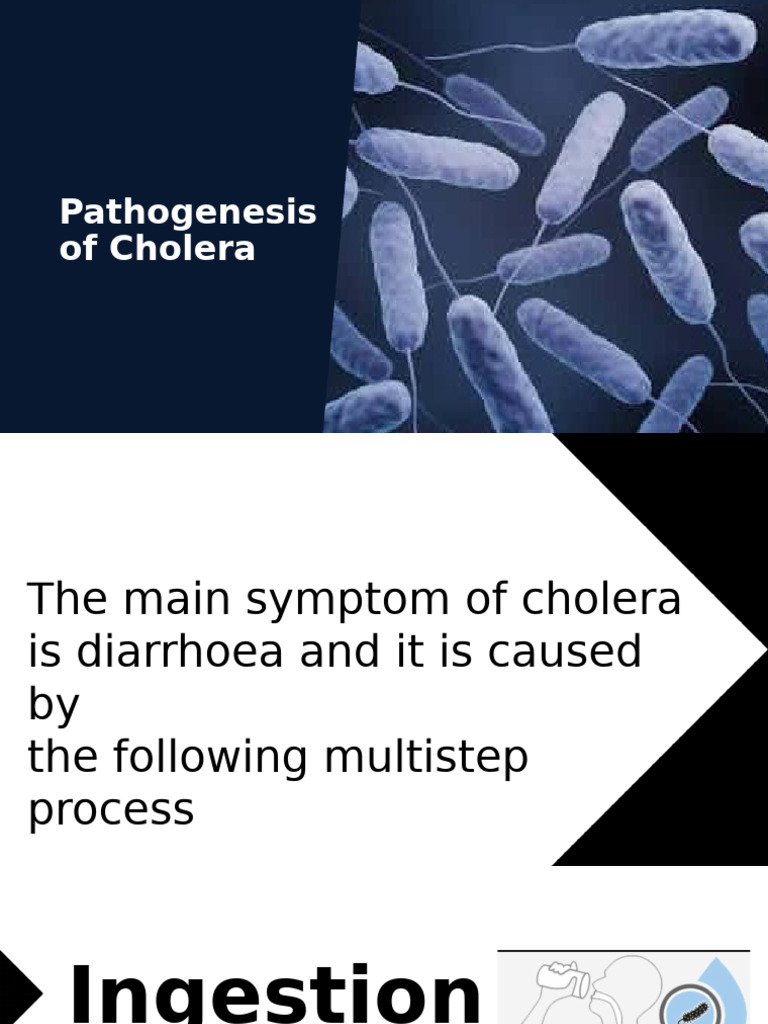 Pathogenesis of Cholera - 20241003 - 102519 - 0000 | PDF