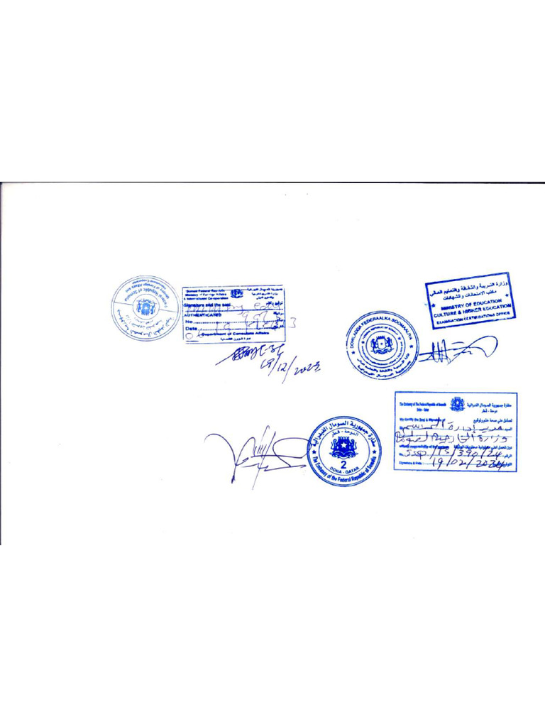 Mohamed Sahal Shahaado Back | PDF