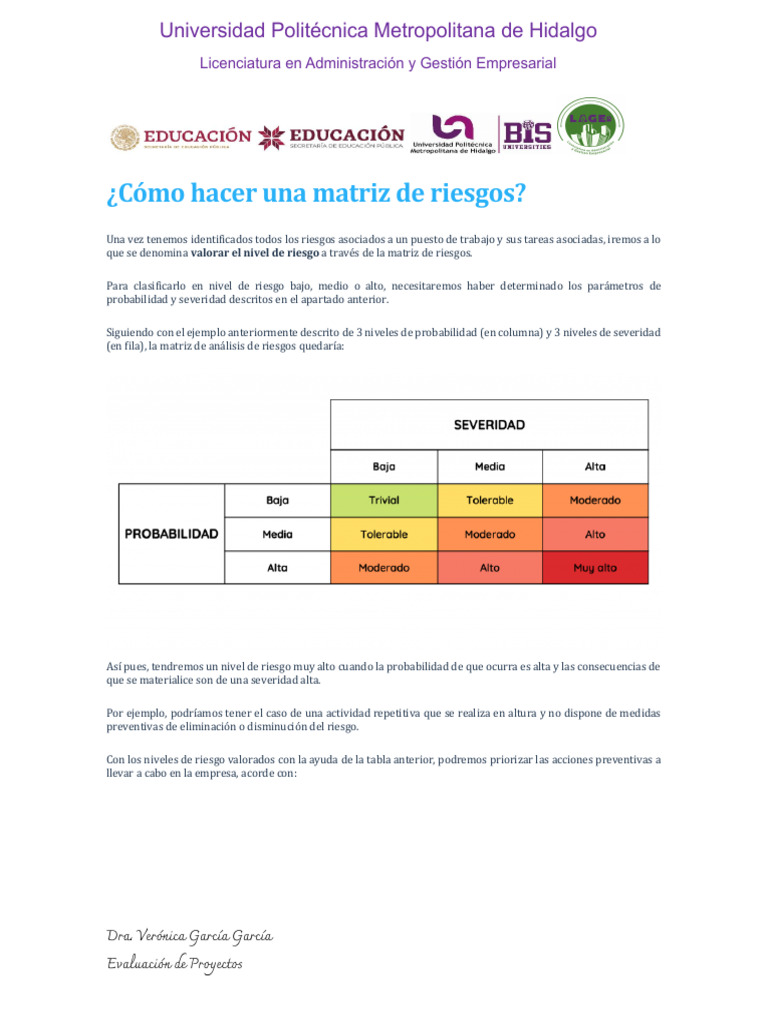 Matriz de Evaluacion de Riesgos | PDF
